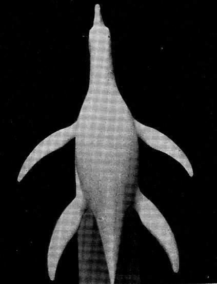 Peloneustes – Plesiosaur Directory