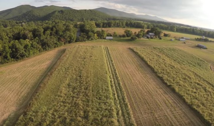 Switchgrass heats a Virginia hospital, homegrown renewable energy