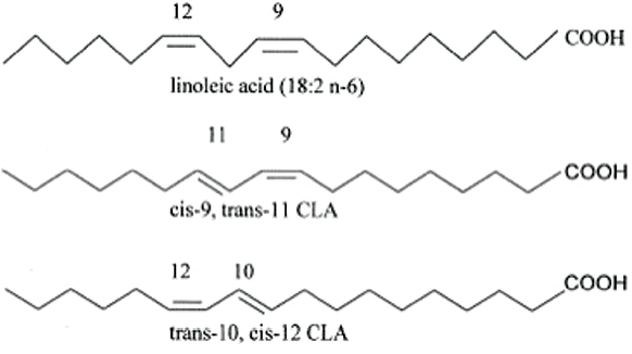 Feed Additives for Swine - Conjugated Linoleic Acid (CLA) - Pork Information Gateway