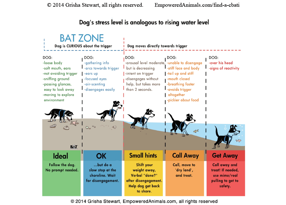 Help for Reactive Dogs