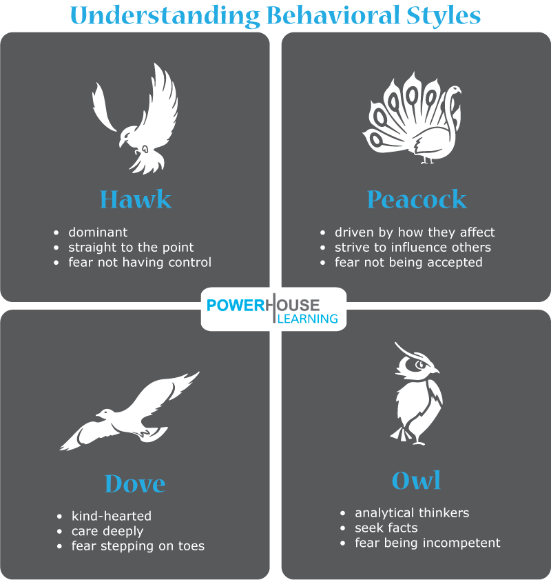 How Understanding Different Behavioral Styles Can Lead to Good ...