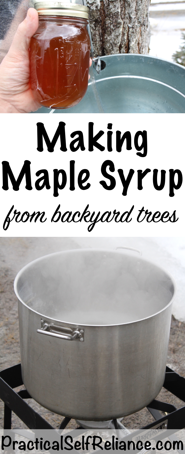 Making Maple Syrup