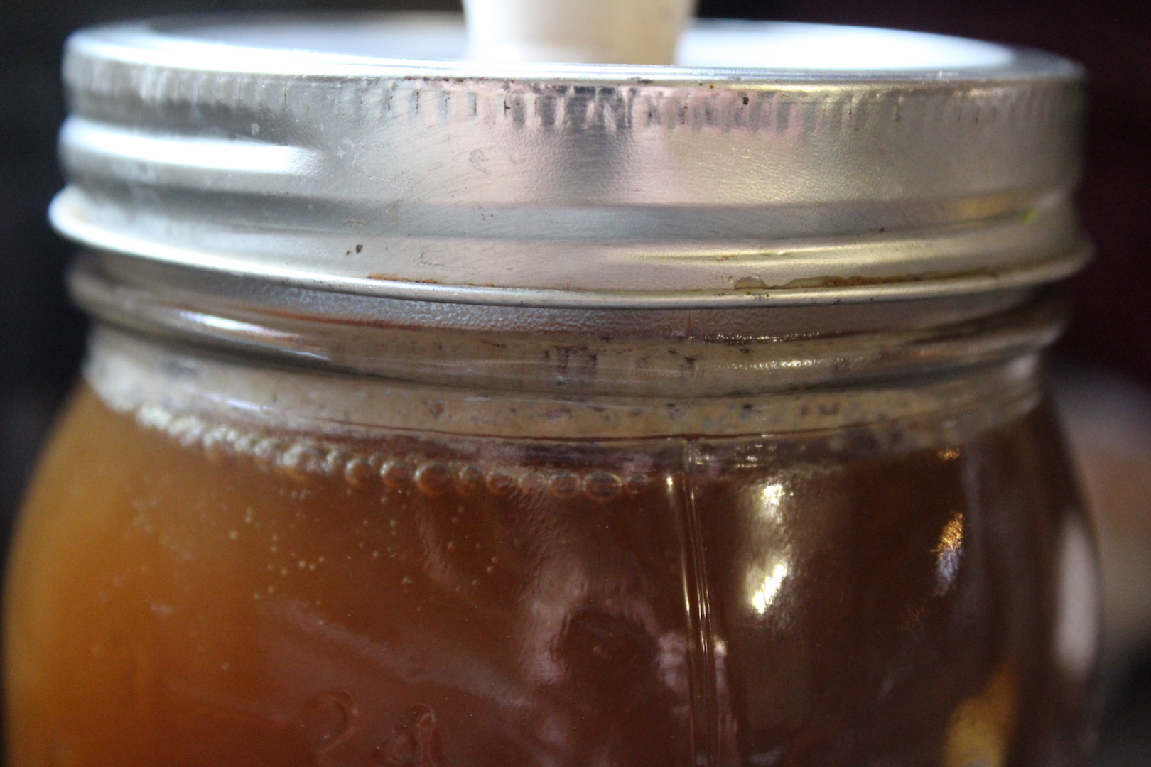 Birch Beer ~ Small Batch Recipe — Practical Self Reliance