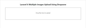 Drag and Drop File Upload in Laravel 6 with Remove Using Dropzone js