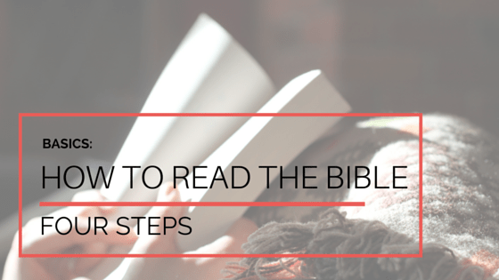 How to Read the Bible: Four Steps - Proverbs 31 Gal