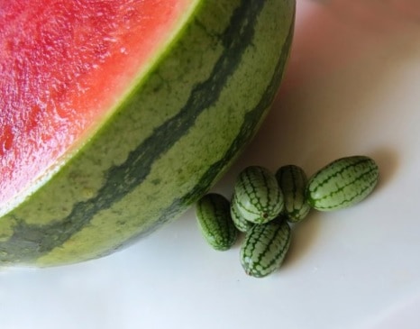 This Bizarre Fruit Looks Like A Tiny Watermelon And Tastes Like A ...