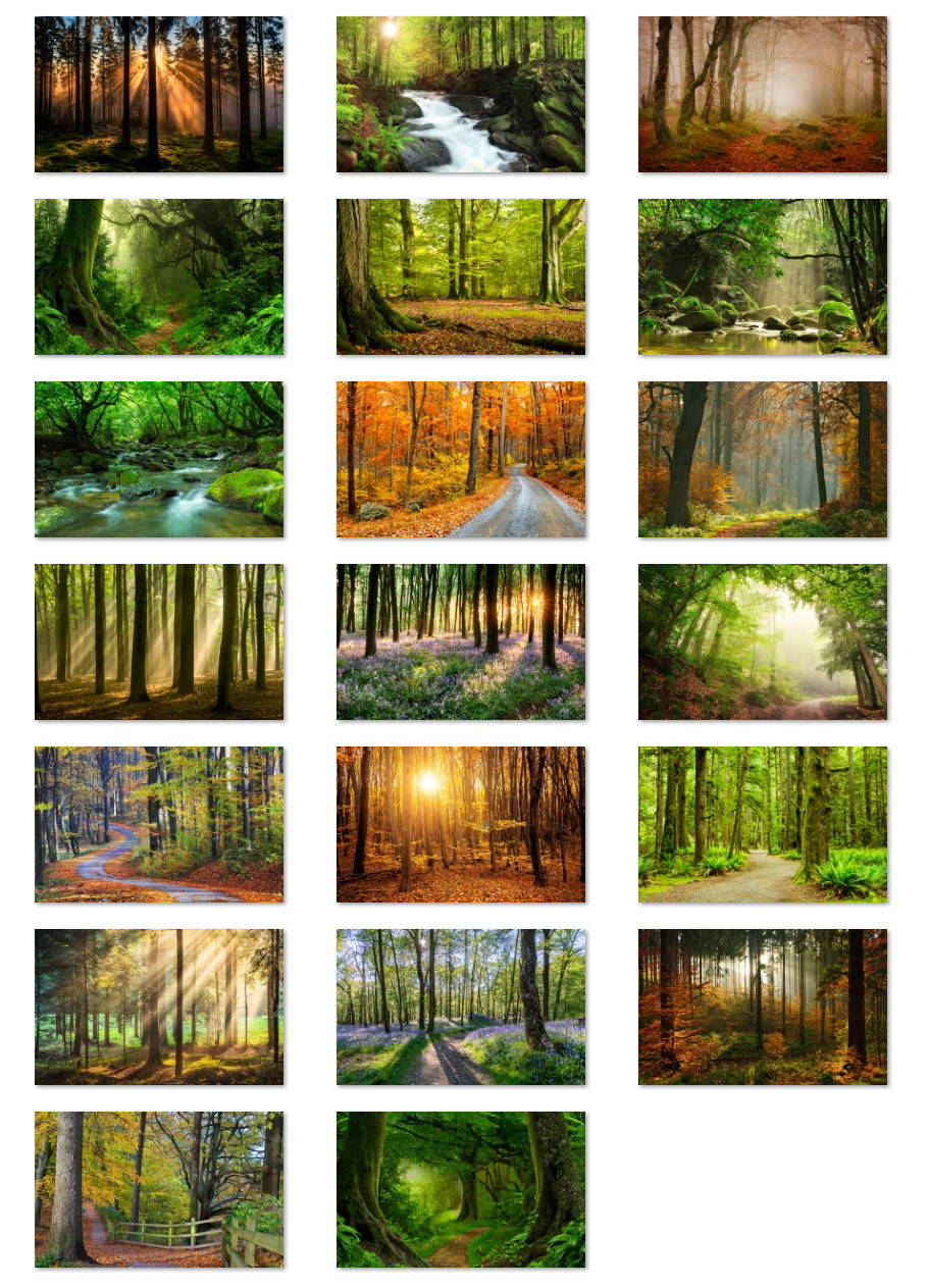 Forest For The Trees theme for Windows (download) • Pureinfotech