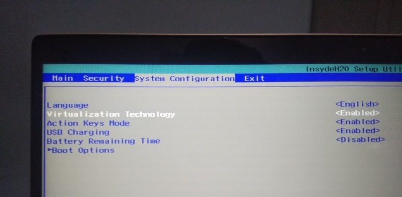 How to Enable Intel VT-x & AMD-V in Computer BIOS or UEFI
