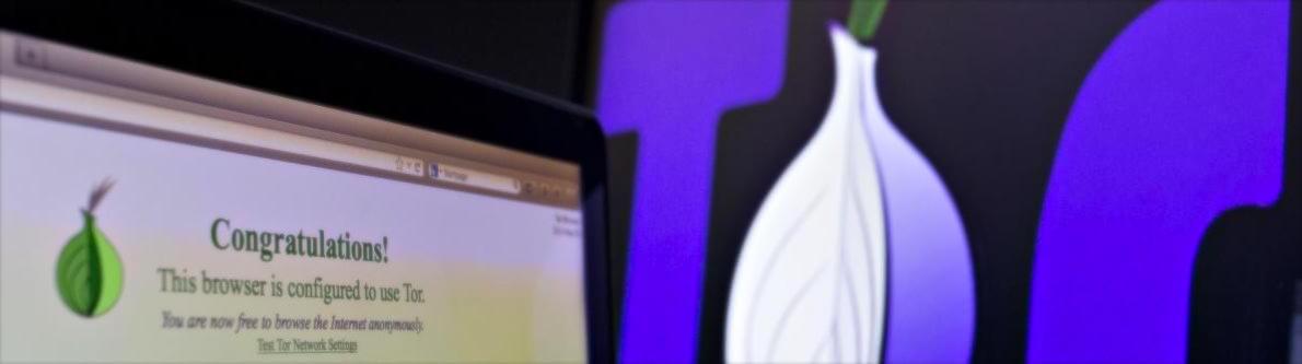 Tor netwerk proxy installeren op Raspberry Pi • raspberrytips.nl