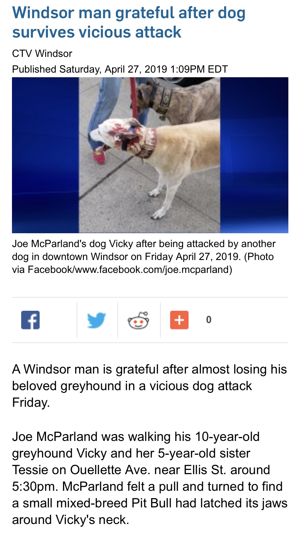 WARNING! Graphic Photos/Videos of Pit Bull Victims – Responsible ...