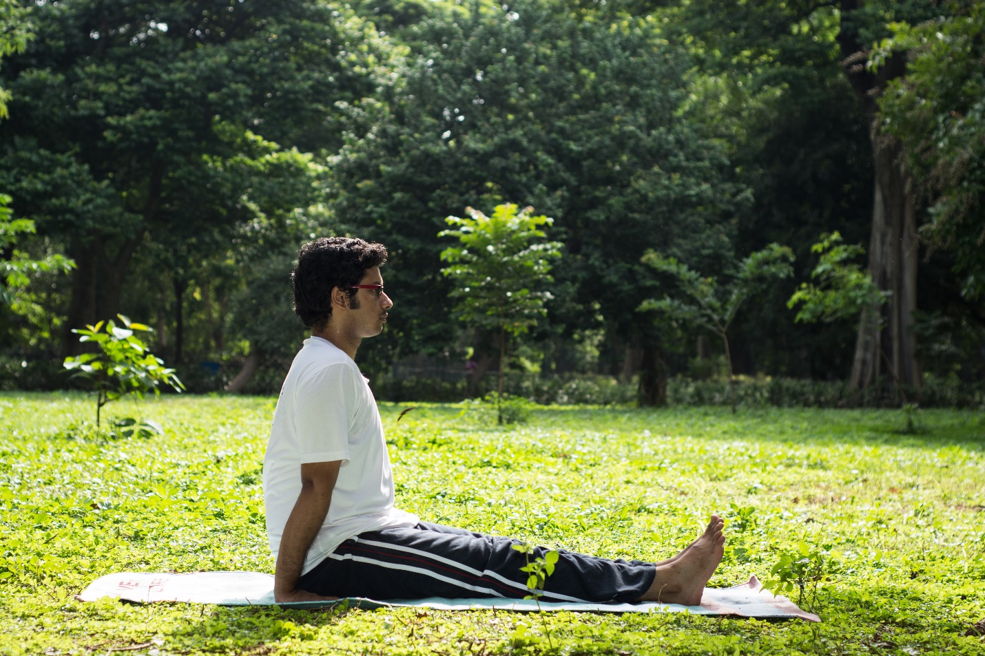 The Sitting Asanas: Part 1 | Readoo India