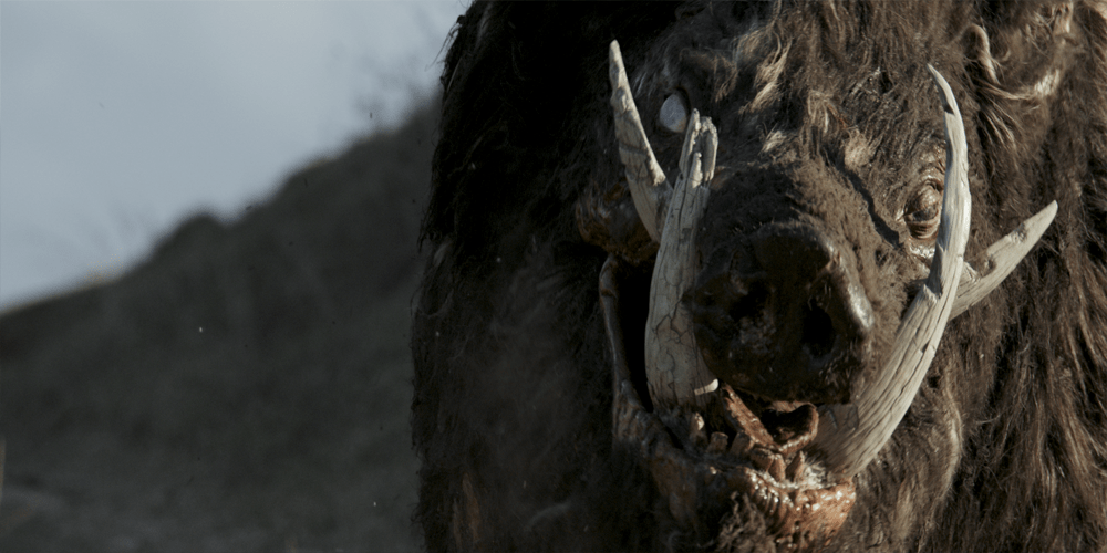 'Boar' - Aussie Pig 'Cujo' | Film Review | Ready Steady Cut