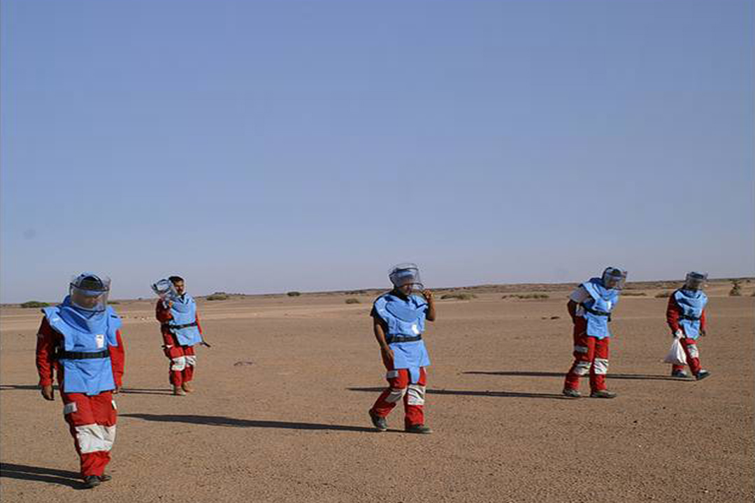Demining | Remove the Moroccan Wall in Western Sahara