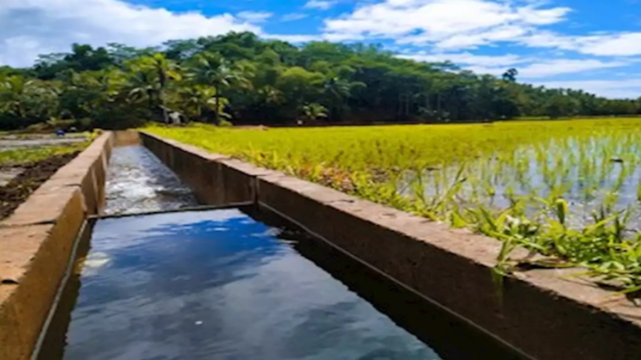 Rehabilitasyon ng Dumacaa River Irrigation System sa Quezon Province ...