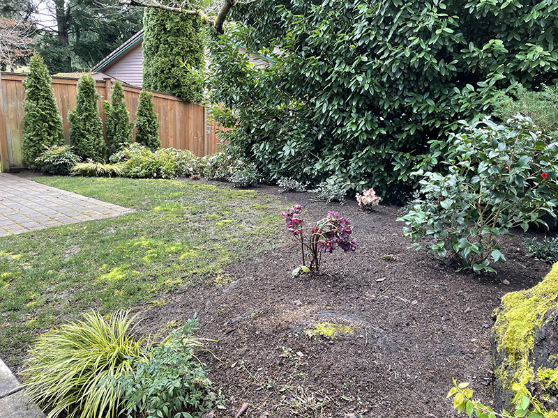 Landscape Design, Container Design, Pruning and Garden Coaching ...