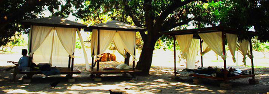 Rosa Farms – Rosa Farms, Zambales, Philippines -The Best and Sweetest ...