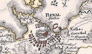 Ancient Tree Research Project~ Yemen, Estonia and the Baltic Sea (Part ...