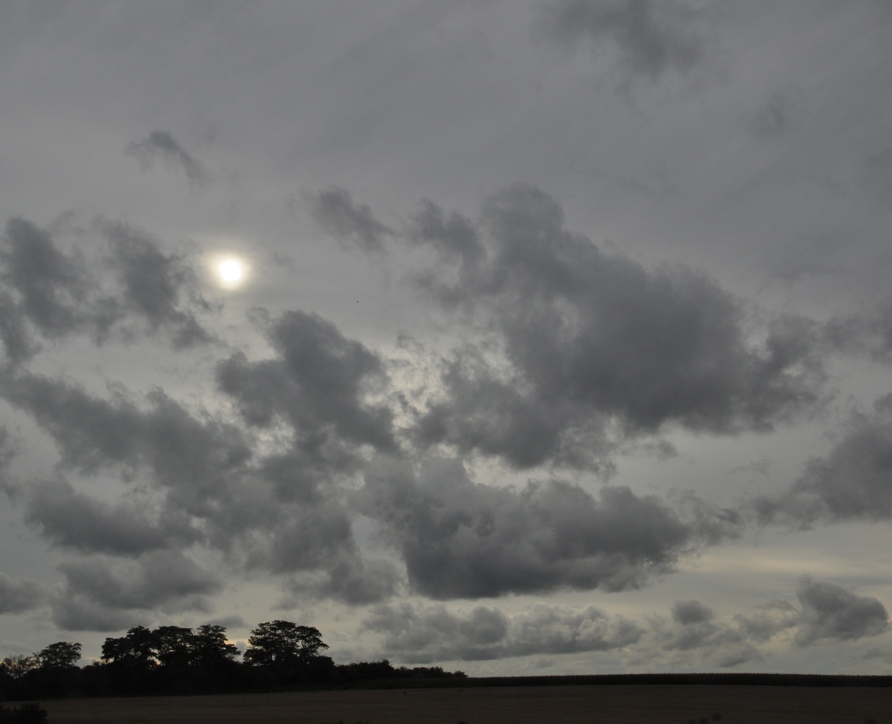 Day 42 of 42 – Back Home WOD | RX THE WOD