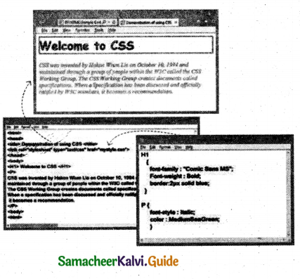 Samacheer Kalvi 11th Computer Applications Guide Chapter 13 CSS ...
