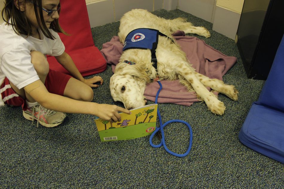 Planning Session: Reading-to-Dogs Program at Westhampton Elementary ...