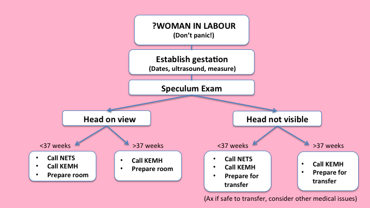 Obstetrics Orientation Resources - Charlie's ED