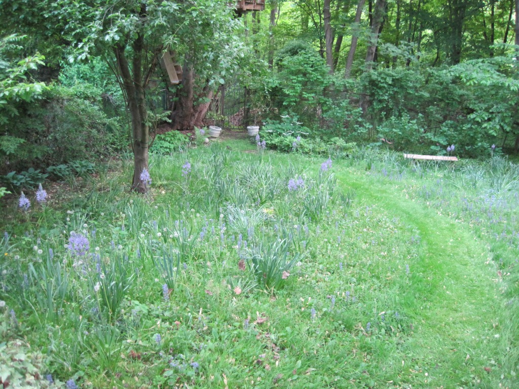 The Deliberate Garden | Seeds of Design