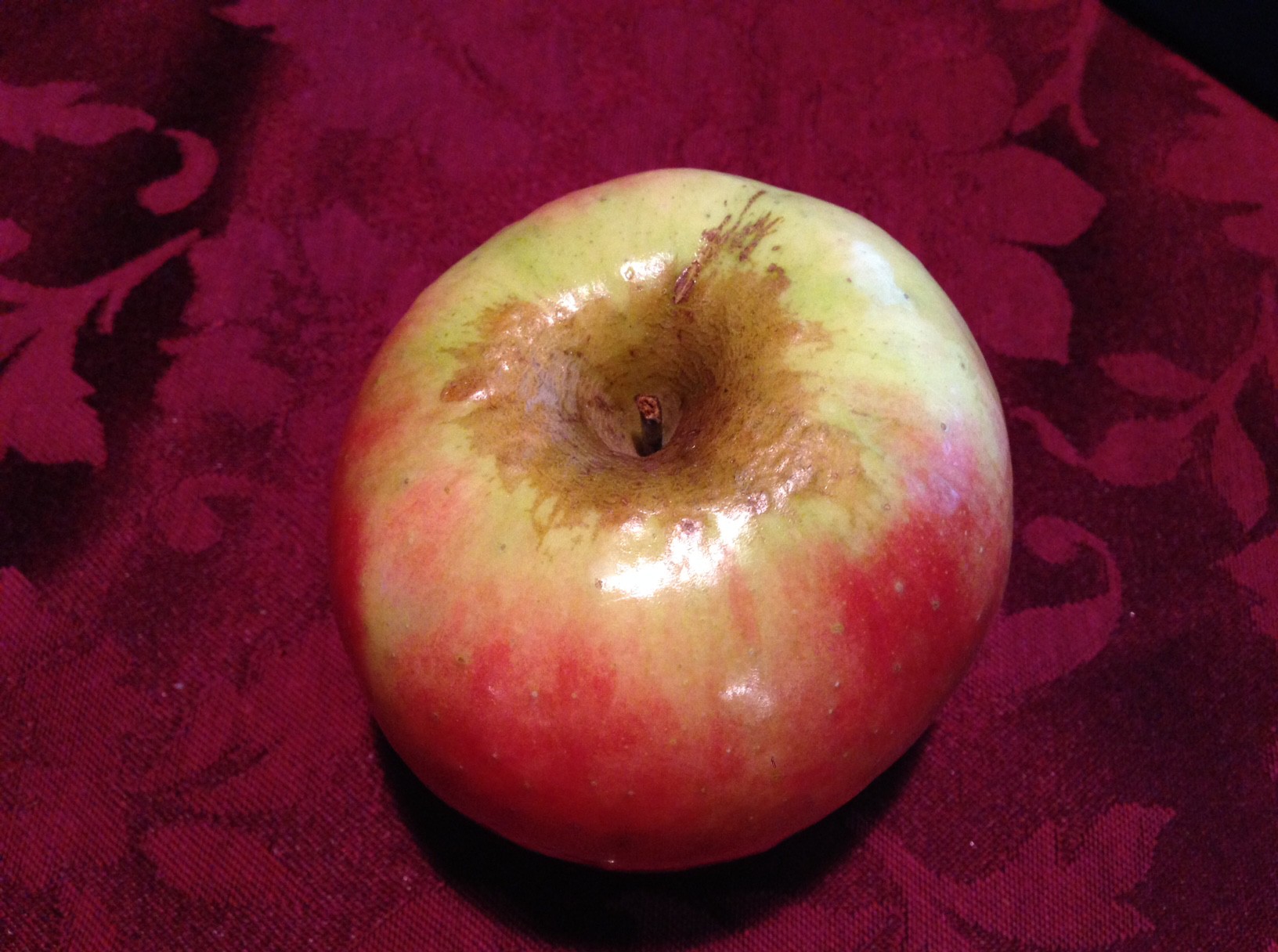 Junami Apple Review | Selective Elective