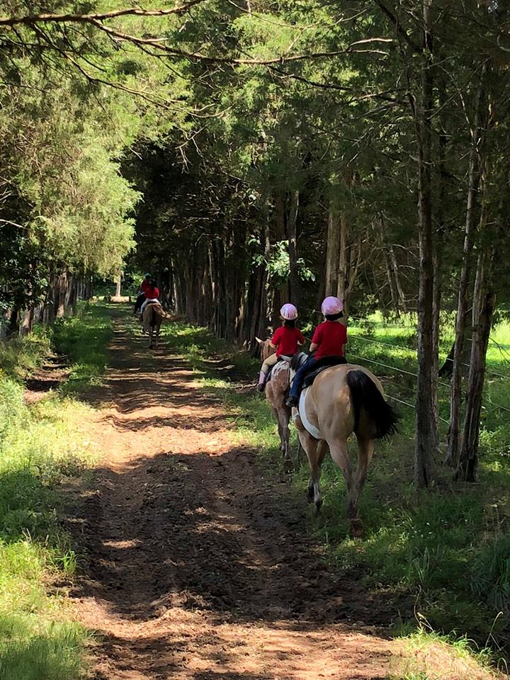 - Silver Eagle Stable Silver Eagle Stable