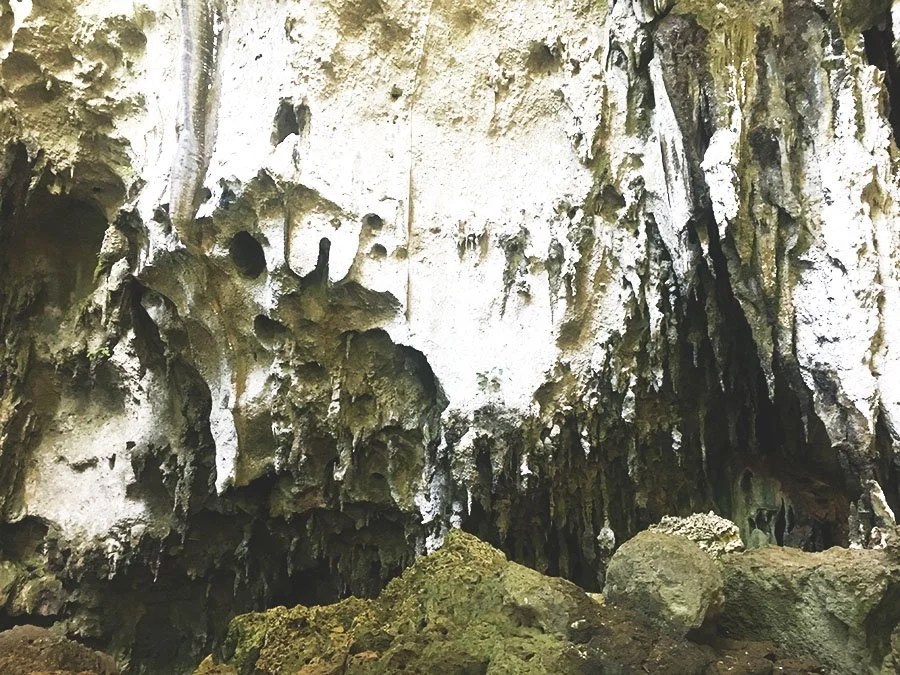 Guide to Hindang Cave and Wild Monkeys in Hindang, Leyte » Shellwanders