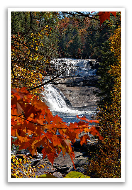 I fall for leaf colors.