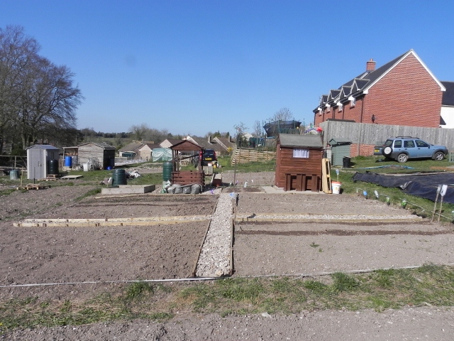Church Allotments Progress | | Shrewton