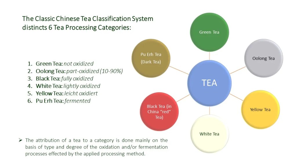 siamteas Lesson 8/4 : Oolong Tea Processing - siamteas