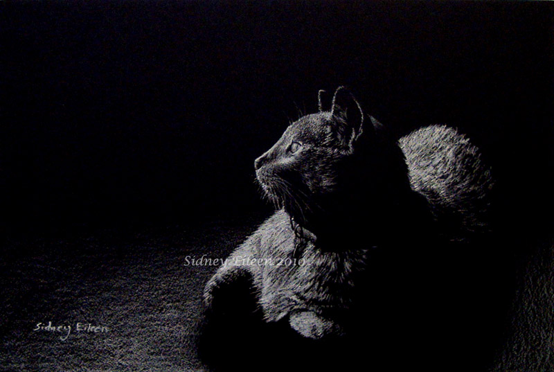 New Drawing - Isa - By Sidney Eileen