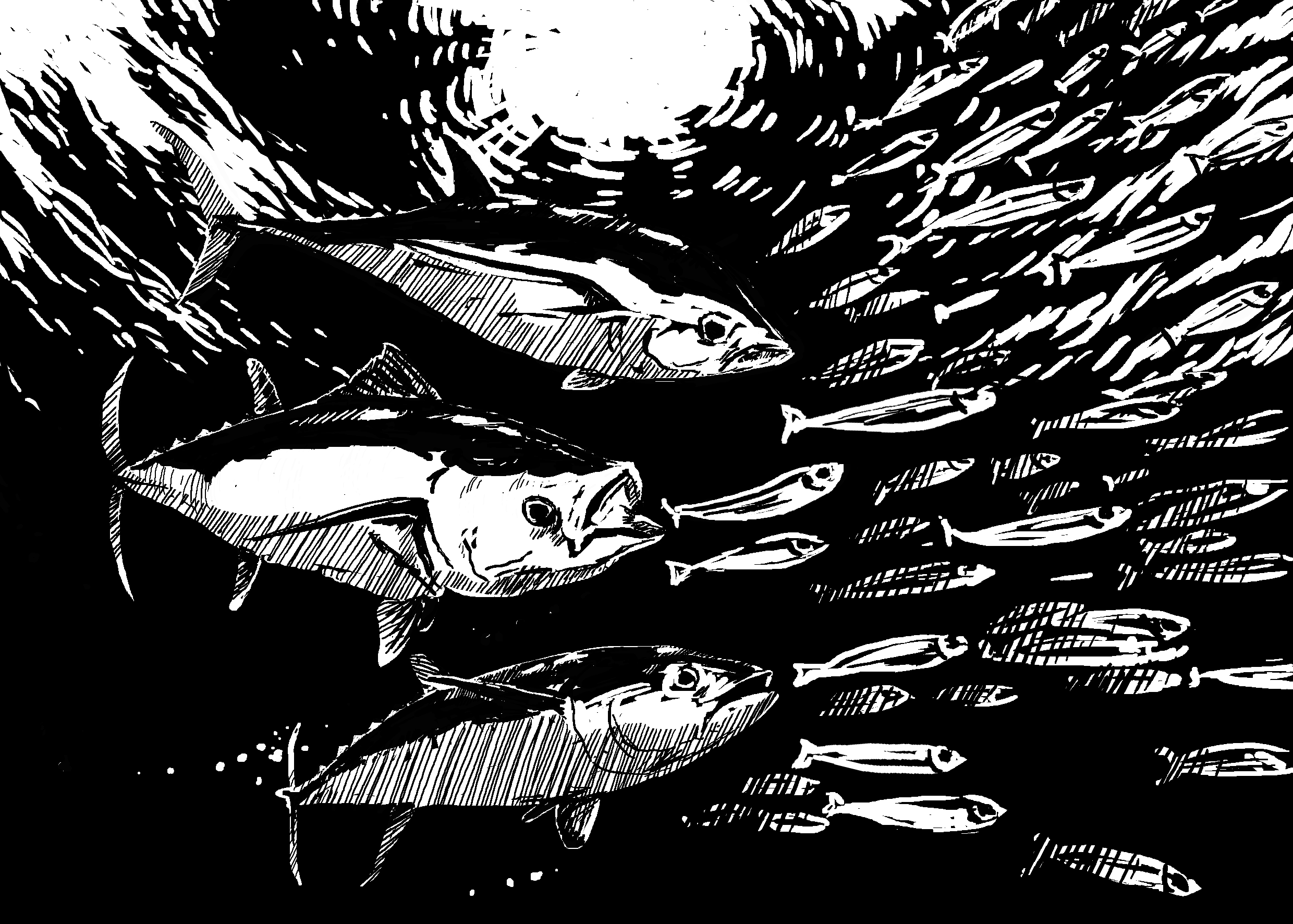 animals-control-the-health-of-the-sea-and-land-wildlife-in-the-balance