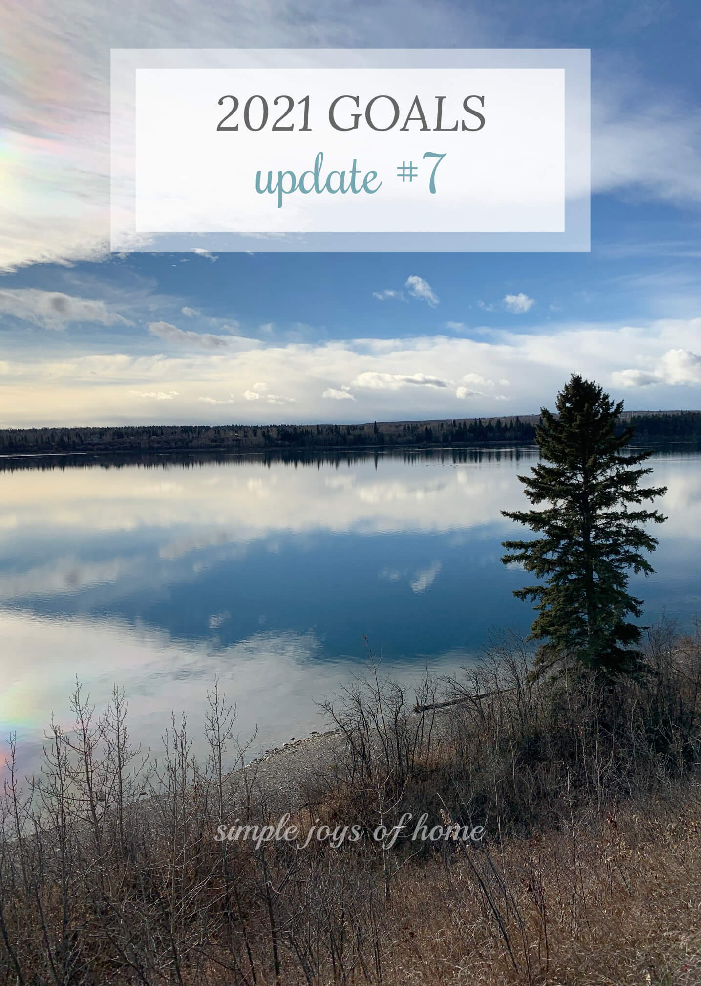 2021 Goals | Update 7 - Simple Joys Of Home