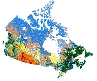 canada day | shop news, etcetera...