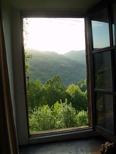 The Long View - Slow Muse