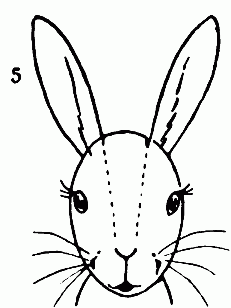 How to draw a Rabbit face - step by step drawing for beginners - Smart ...