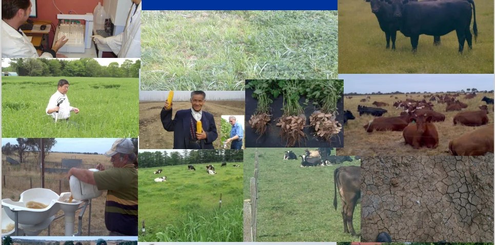 Understanding Your Soil Analysis - Soil Learning Center