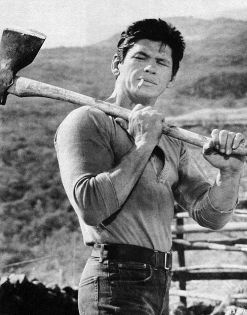 Charles Bronson – RIP – Craig Zablo