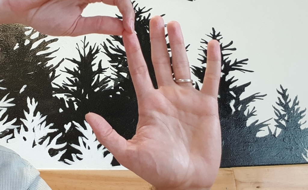 STT.Finger error correction - Star Teacher Training