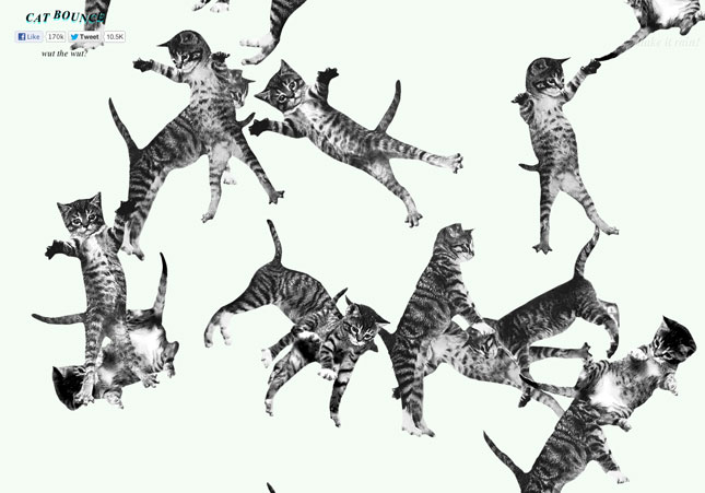 Cats