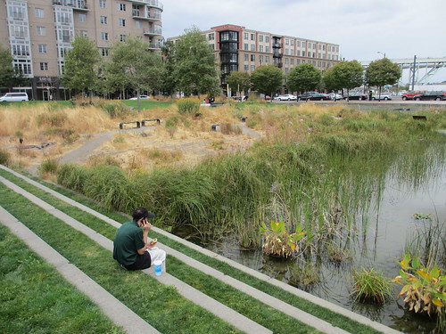 Portland: A City of Parks and Public Spaces – Only Here for the Food