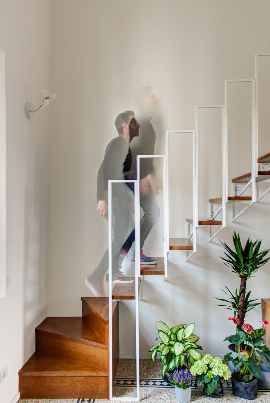 10 Piante Per Scale Interne - faithbludeco