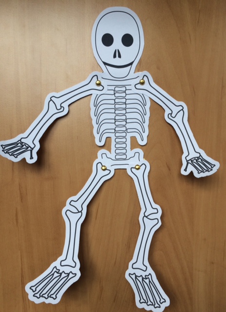 Funnybones by Janet & Allan Ahlberg · Story Snug