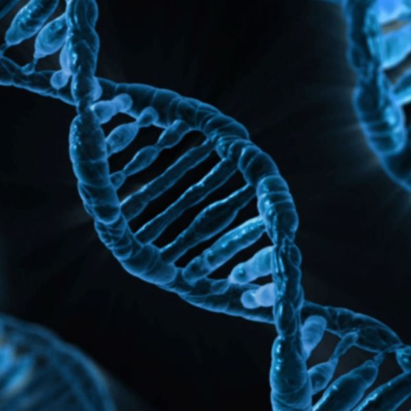 Cannabis and DNA: How Your Experience Is Linked to Genetics