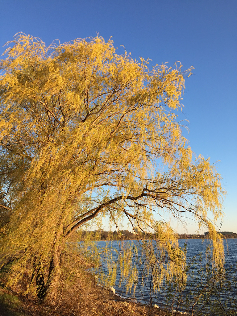 Walk This Way: 31-mile Loop of the Grand Rounds Scenic Byway | streets.mn