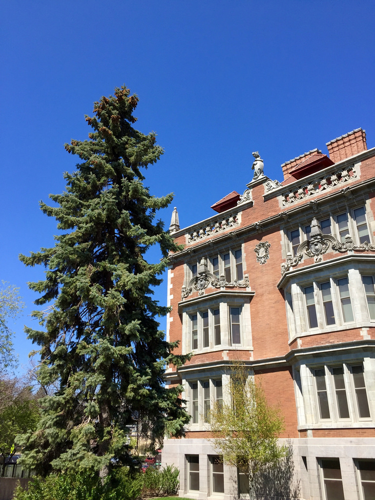 Walk This Way: 31-mile Loop of the Grand Rounds Scenic Byway | streets.mn