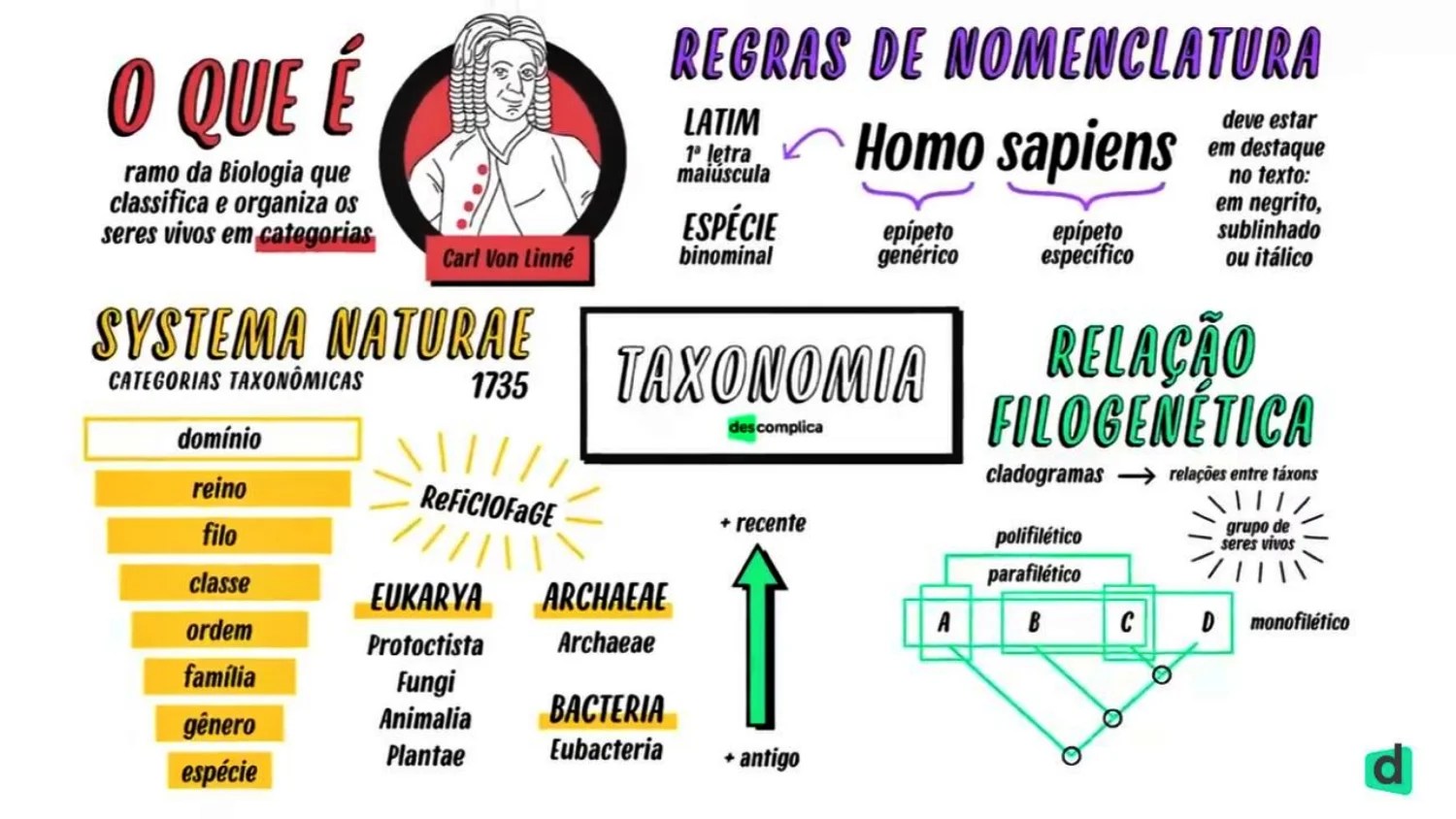 MAPA MENTAL SOBRE TAXONOMIA - STUDY MAPS