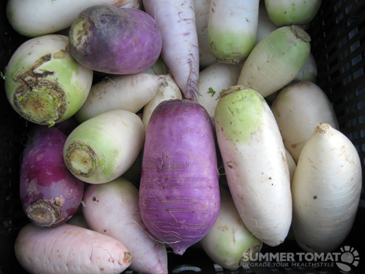Summer Tomato herbs | Summer Tomato